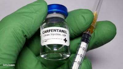 What Is Carfentanil? | Mountainside Treatment Center